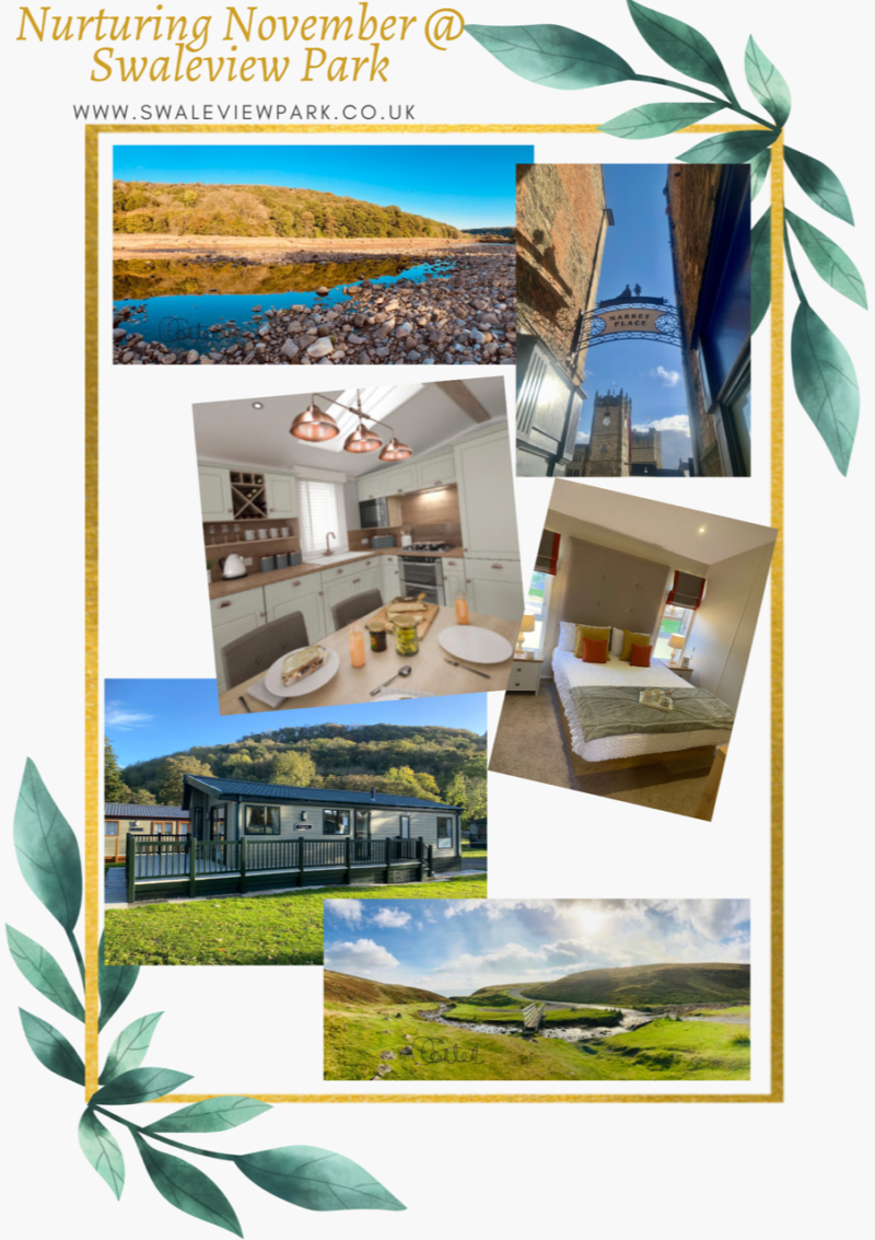 Nurturing November | Swaleview Park